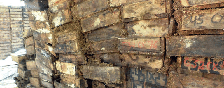 Core Boxes for Storing Core Samples in Canada | Core Case